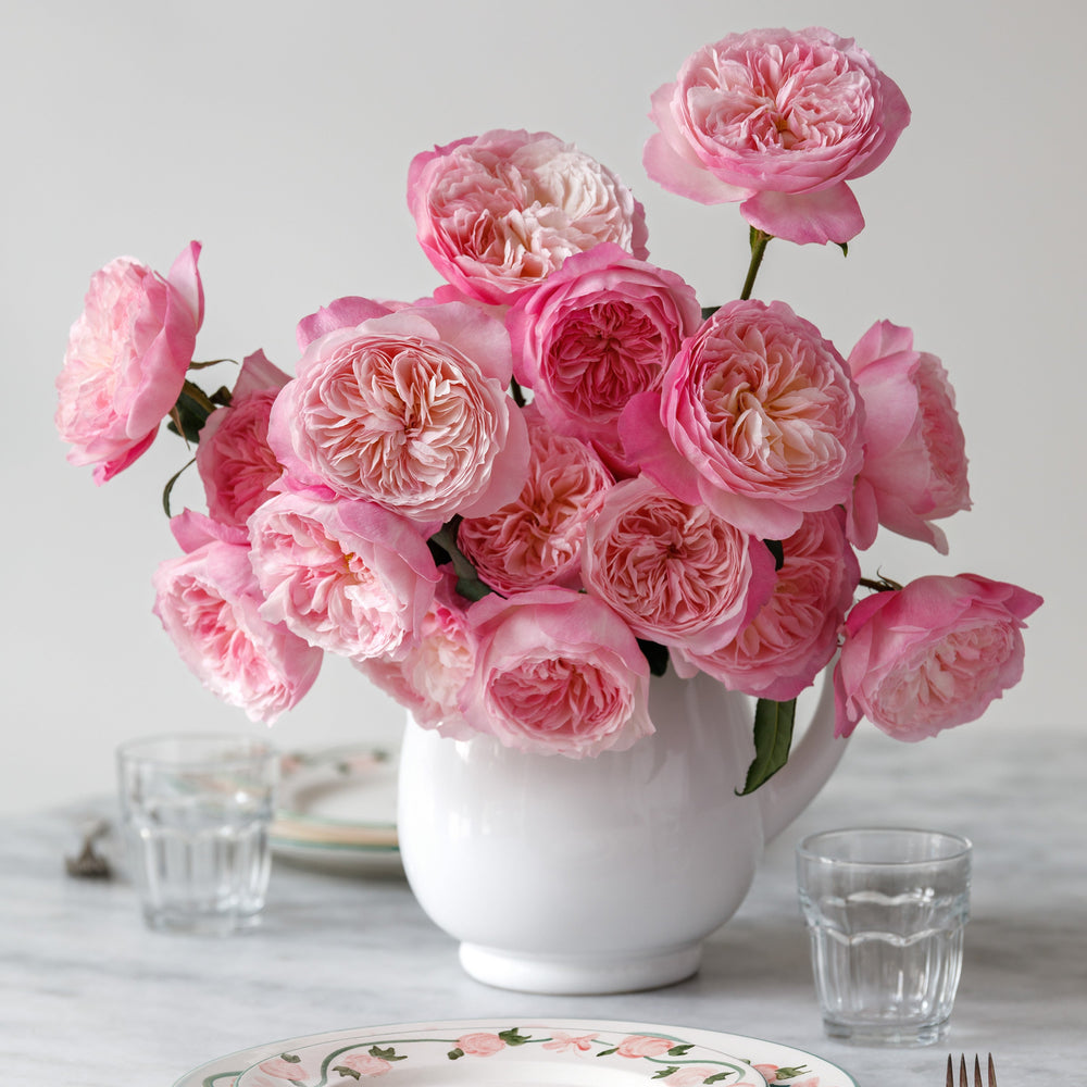 Blush Roses | Vibrant & Feminine Pink Shades | Grace Rose Farm