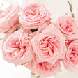 Grower’s Choice Bouquet | Seasonal Garden Rose Delivery | Grace Rose Farm