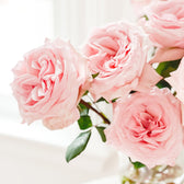 Pink O'Hara® Bouquet - Grace Rose Farm