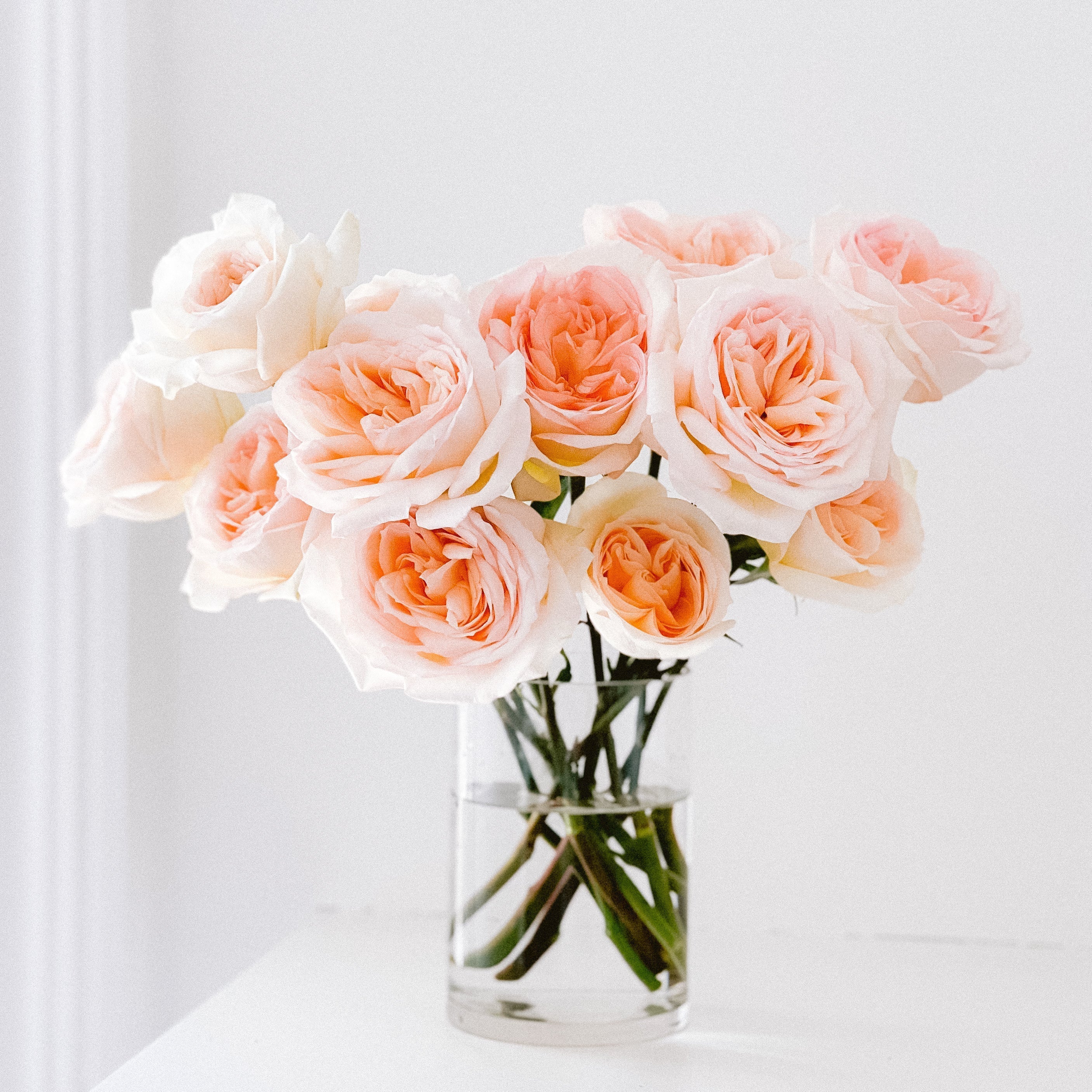 Bouquet of the Month – Grace Rose Farm