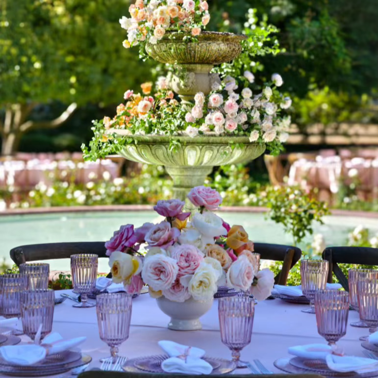 Rose Bush Collection – Grace Rose Farm