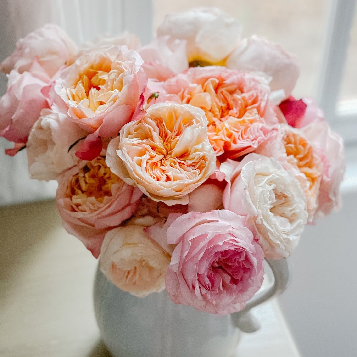 California Grown Rosey Posey – Grace Rose Farm