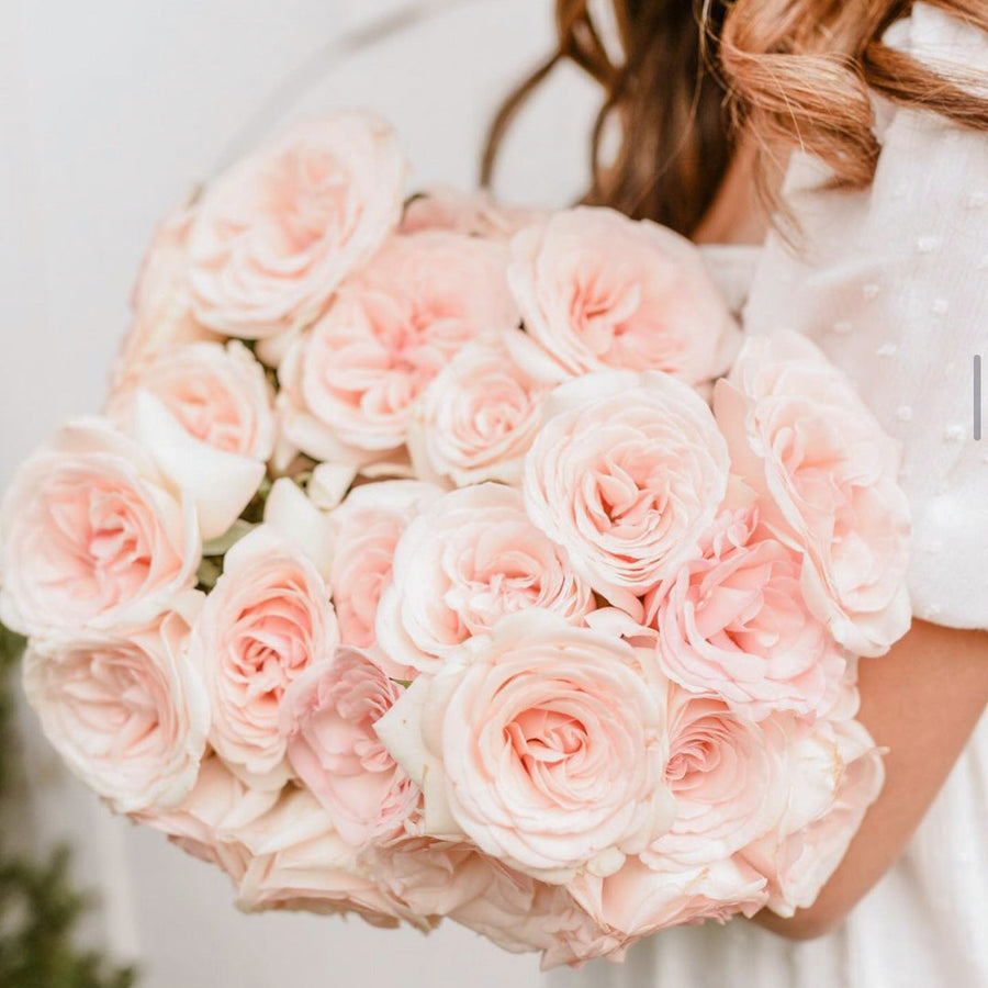 GARDEN ROSES: The Complete Guide to Growing & Arranging Spectacular ...