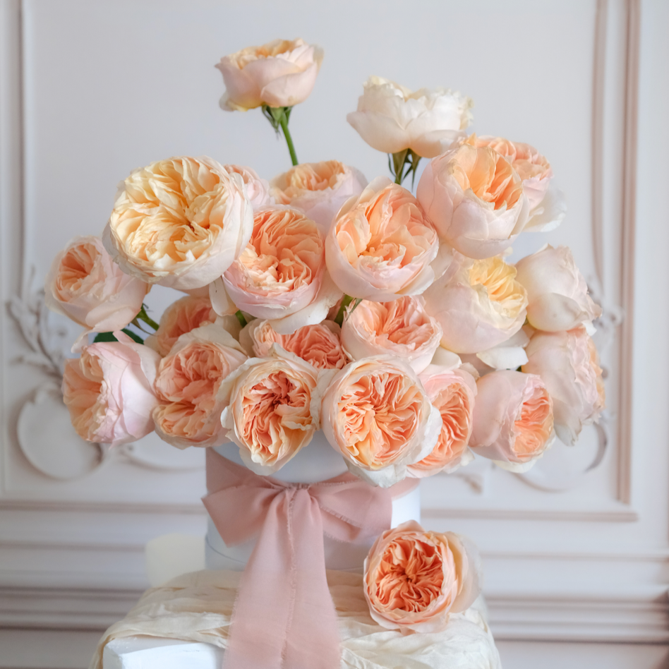 Our Roses – Grace Rose Farm