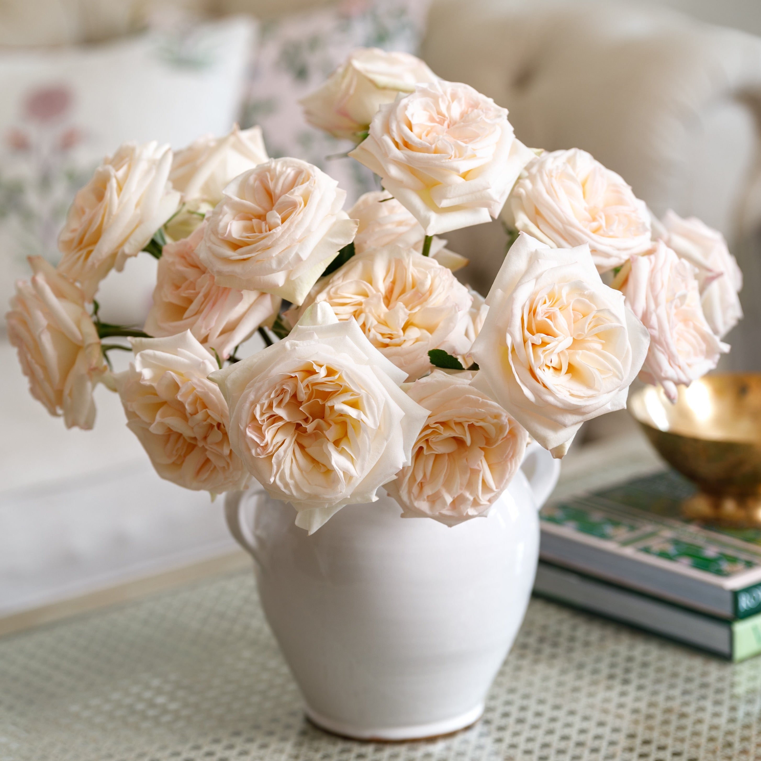 Cream Roses – Grace Rose Farm