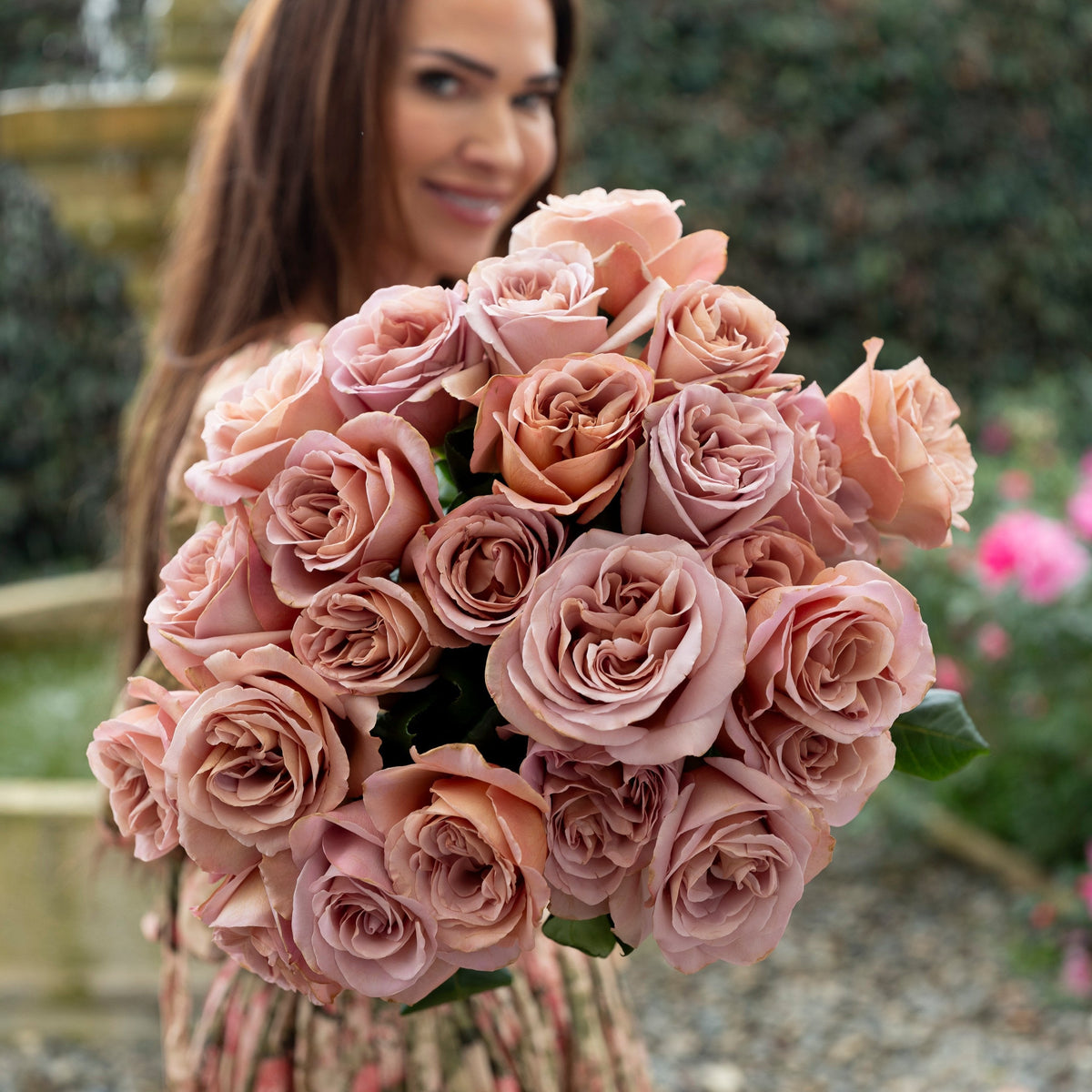 Mauve Roses - Grace Rose Farm