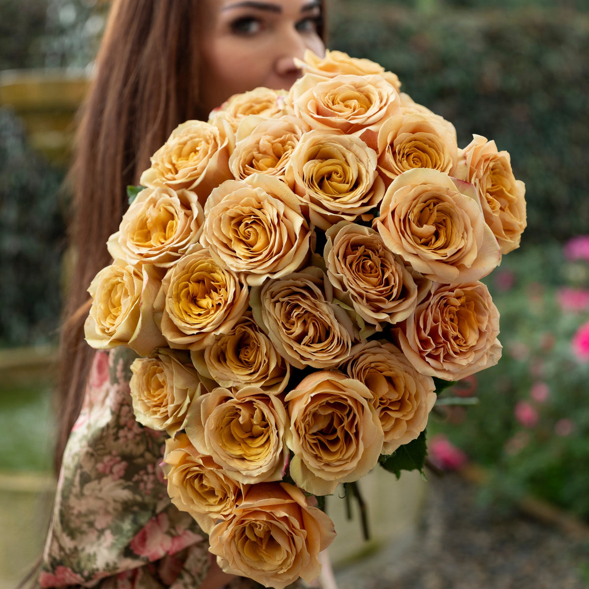 yellow roses