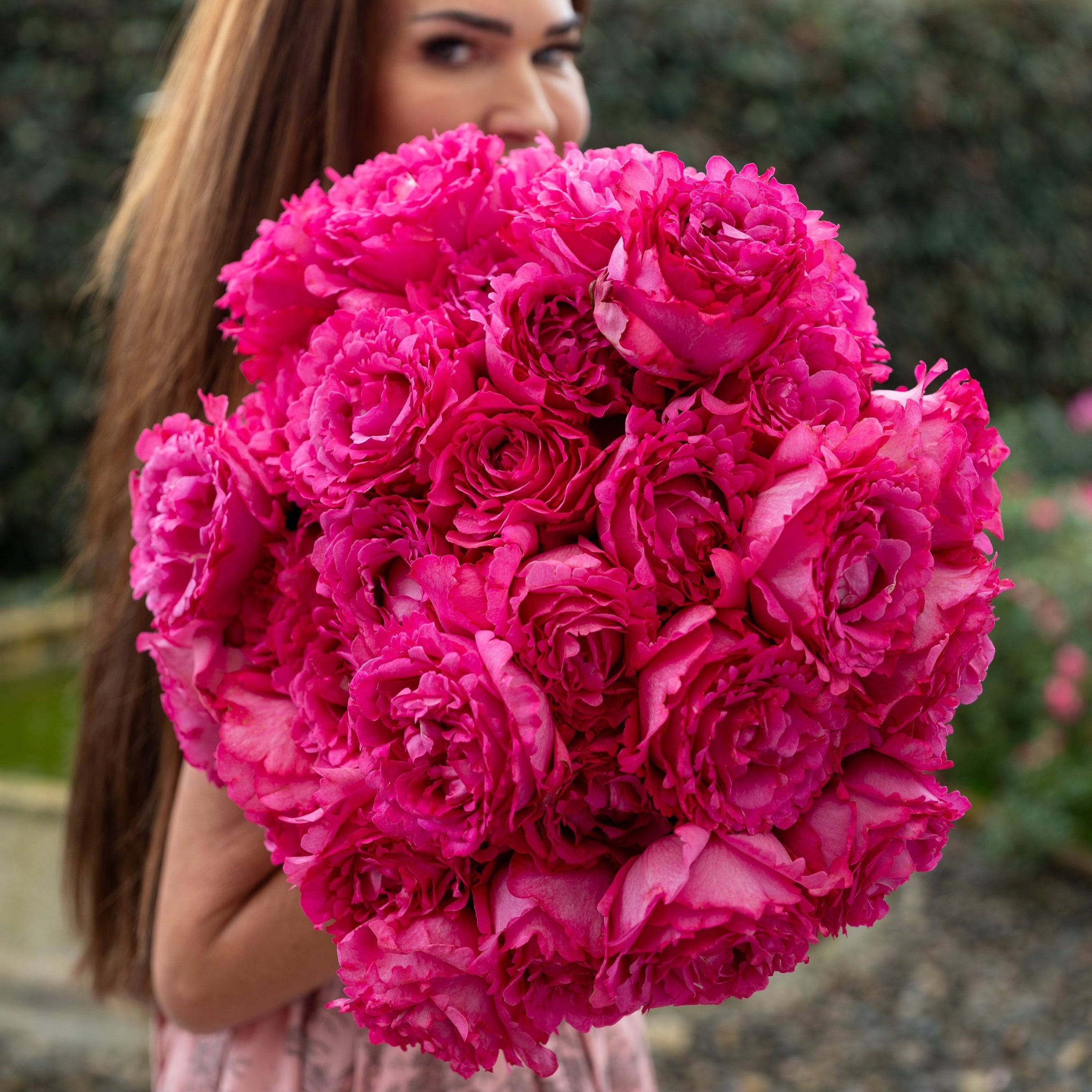 California Grown Classic Bouquet | Fresh Cut Roses | Grace Rose Farm