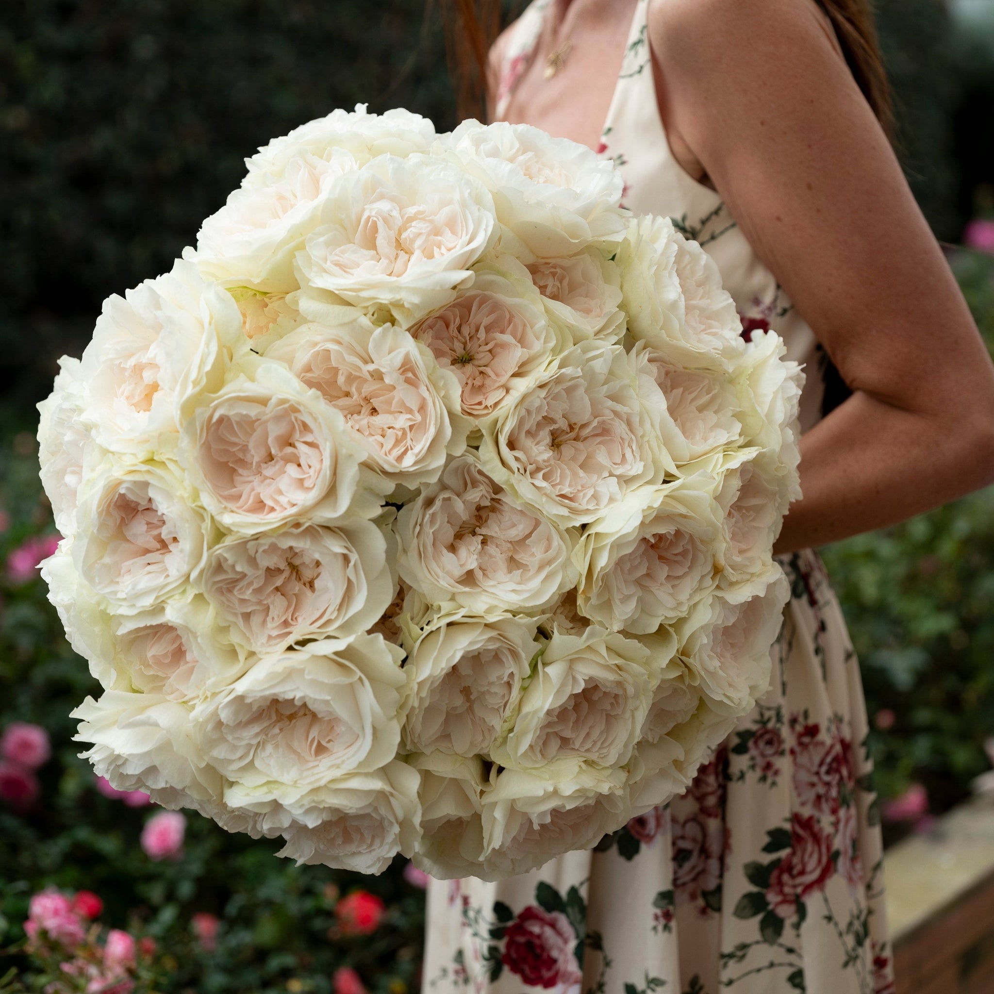 Purity™ Special Bouquet - Grace Rose Farm
