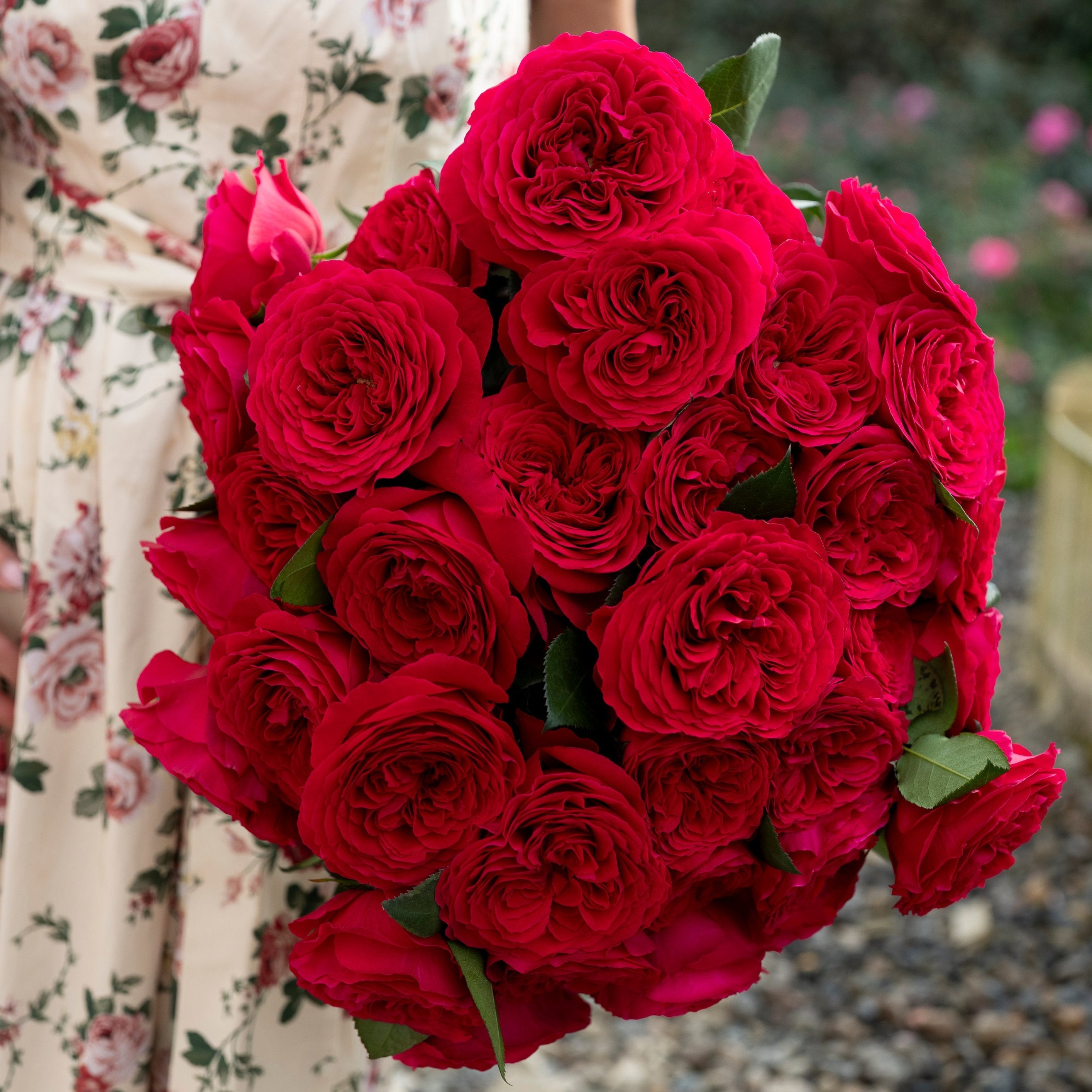 Hettie™ Bouquet – Grace Rose Farm