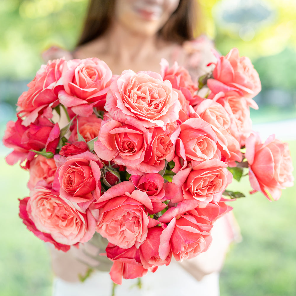 Tree Roses | Eye Level Beauty & Fragrance | Grace Rose Farm